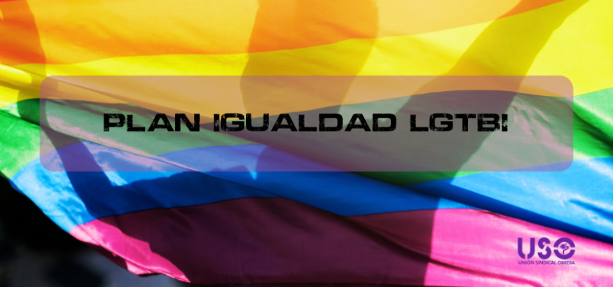 Plan LGTBI, obligatorio para empresas con mas de 50 trabajador@s – Federación Trabajadores ...